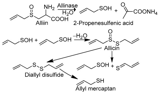Density Functional Theory Studies on the Chemical Reactivity of Allyl ...