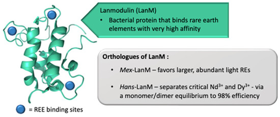 Rare Earths—The Answer to Everything