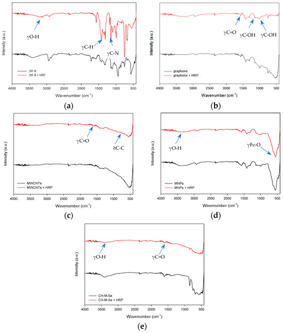 Support Materials of Organic and Inorganic Origin as Platforms for ...