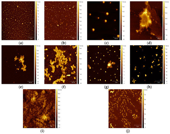 Support Materials of Organic and Inorganic Origin as Platforms for ...