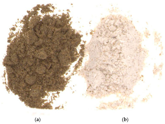 Wheat Bread Enriched with House Cricket Powder (Acheta domesticus L ...