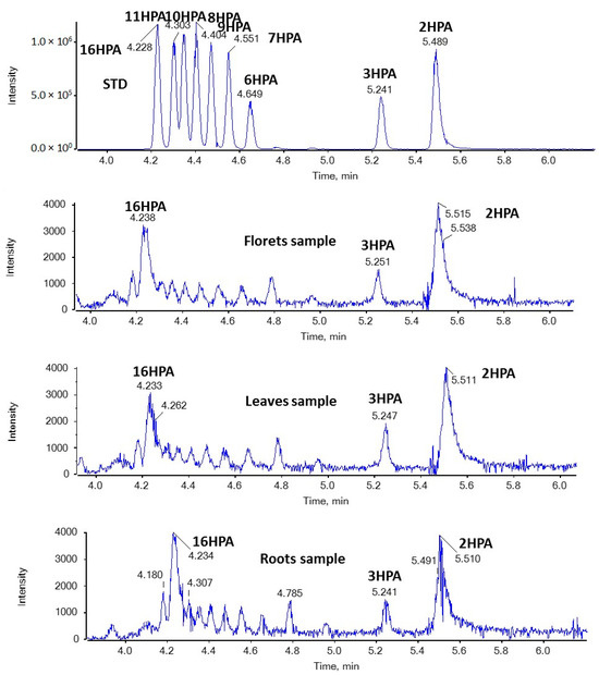 Free Fatty Acid Determination in Broccoli Tissues Using Liquid ...