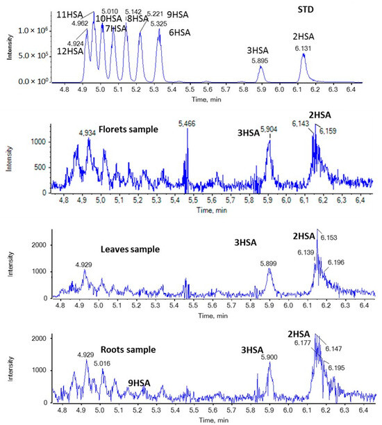 Free Fatty Acid Determination in Broccoli Tissues Using Liquid ...