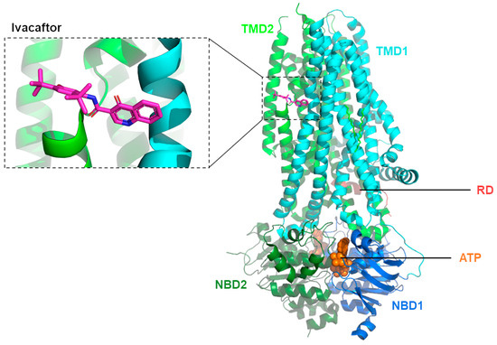Organic Synthesis and Current Understanding of the Mechanisms of CFTR ...