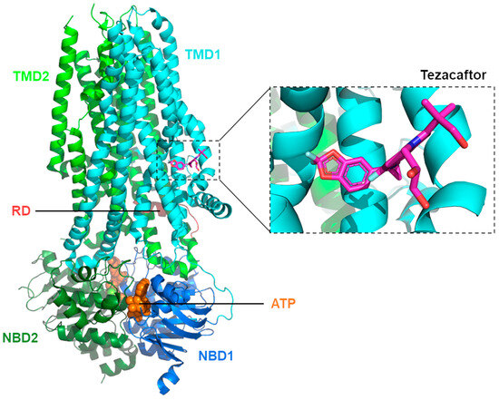 Organic Synthesis and Current Understanding of the Mechanisms of CFTR ...