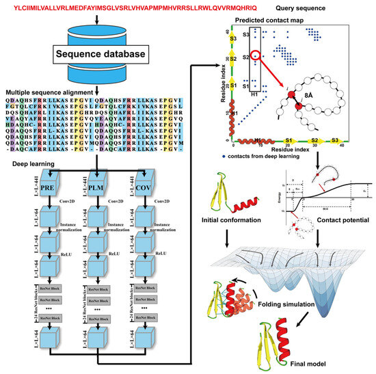 Recent Progress of Protein Tertiary Structure Prediction