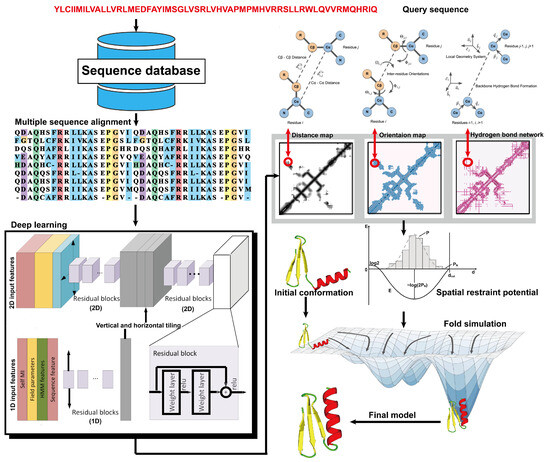 Molecules | Free Full-Text | Recent Progress of Protein Tertiary Structure Prediction