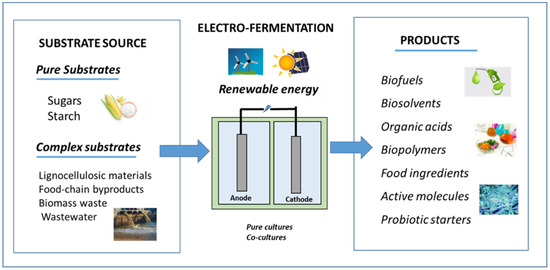 Sustainable Production of Biofuels and Biochemicals via Electro ...