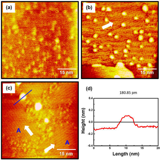 Molecular Self-Assembly and Adsorption Structure of 2,2′-Dipyrimidyl ...