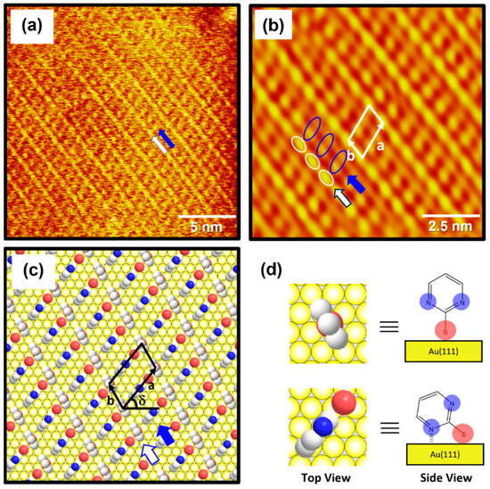 Molecular Self-Assembly and Adsorption Structure of 2,2′-Dipyrimidyl ...