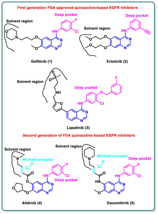 Recent Advances in Structural Optimization of Quinazoline-Based Protein ...