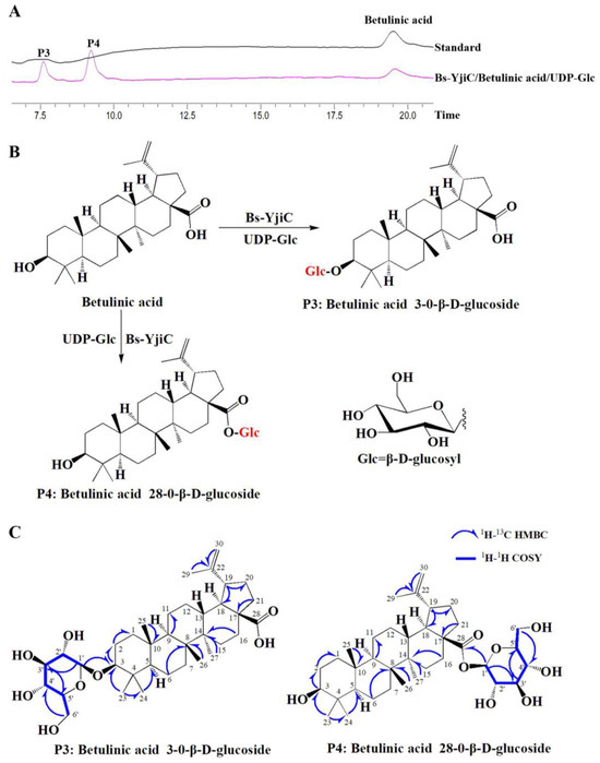A New Potent Inhibitor against α-Glucosidase Based on an In Vitro ...