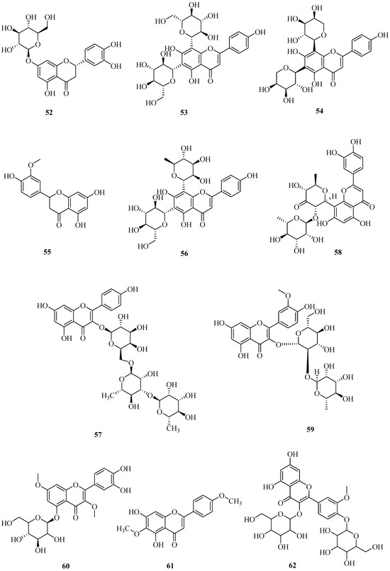 An Umbrella Insight into the Phytochemistry Features and Biological ...