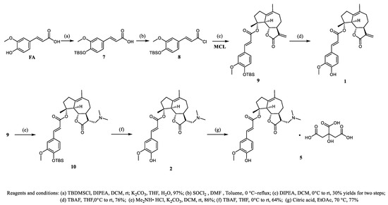 Synthesis and Anti-Inflammatory Activity of Ferulic Acid-Sesquiterpene Lactone Hybrids