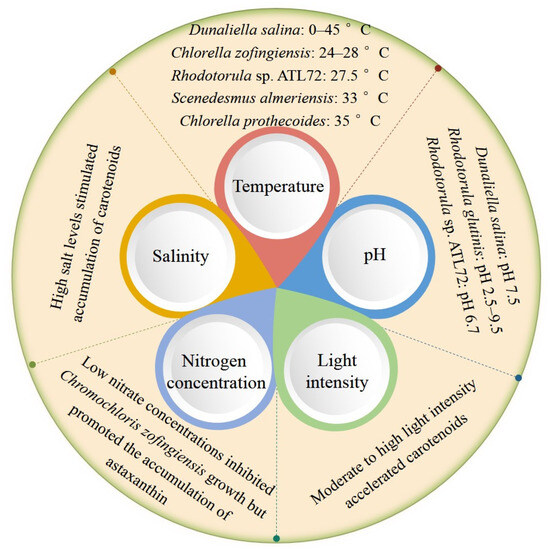 The Application of Natural Carotenoids in Multiple Fields and Their Encapsulation Technology: A ...