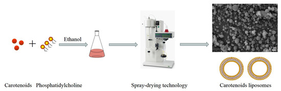 The Application of Natural Carotenoids in Multiple Fields and Their Encapsulation Technology: A ...
