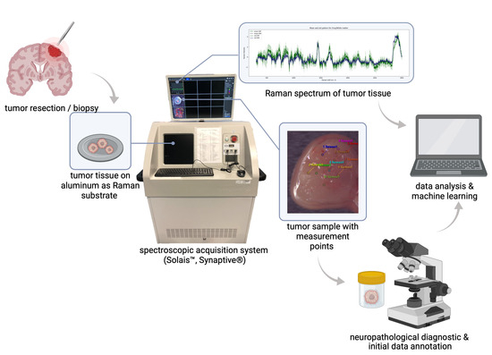 Computational Assessment of Spectral Heterogeneity within Fresh ...