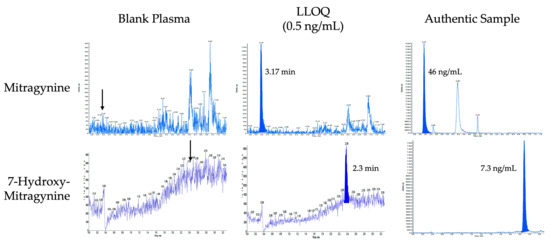 Human Mitragynine and 7-Hydroxymitragynine Pharmacokinetics after ...