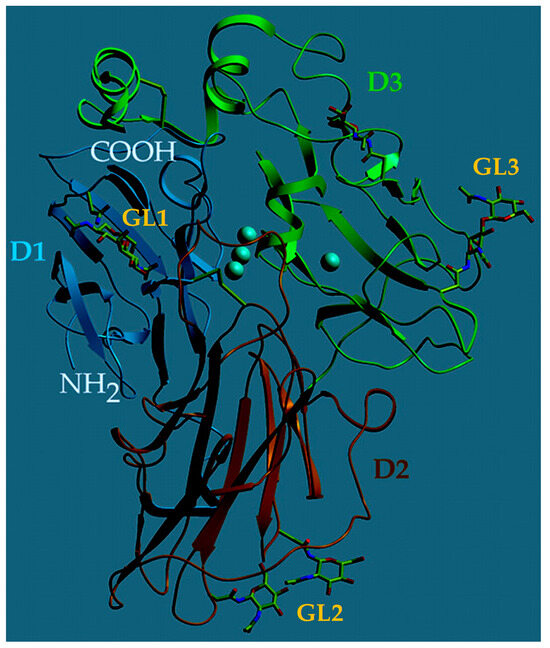 Enzymes in “Green” Synthetic Chemistry: Laccase and Lipase
