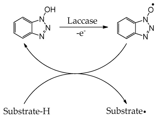 Enzymes in “Green” Synthetic Chemistry: Laccase and Lipase