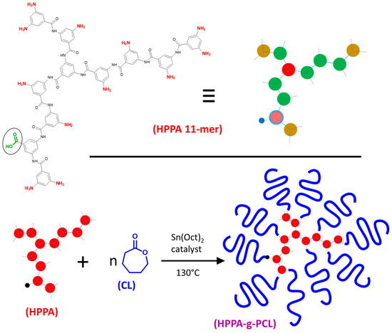 Synthesis and Morphology Characteristics of New Highly Branched ...