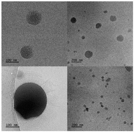 Molecules | Free Full-Text | Synthesis and Morphology Characteristics ...