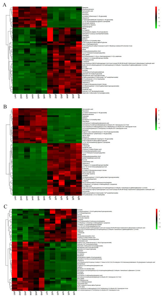 Untargeted Metabolomics Based on UPLC-Q-Exactive-Orbitrap-MS/MS Revealed the Differences and ...