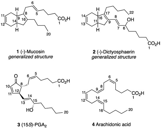 Biological Evaluations, NMR Analyses, Molecular Modeling Studies, and ...
