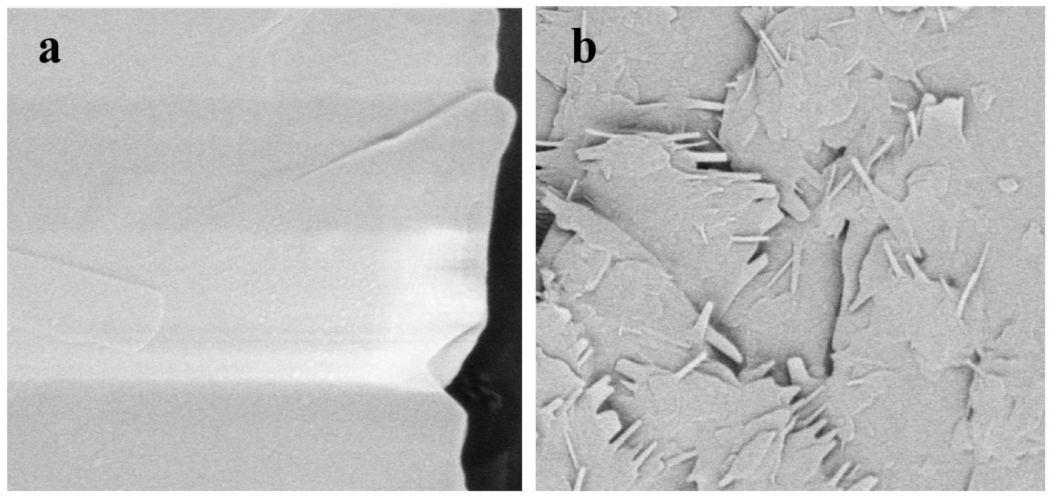 UCST-Type Soluble Immobilized Cellulase: A New Strategy for the ...