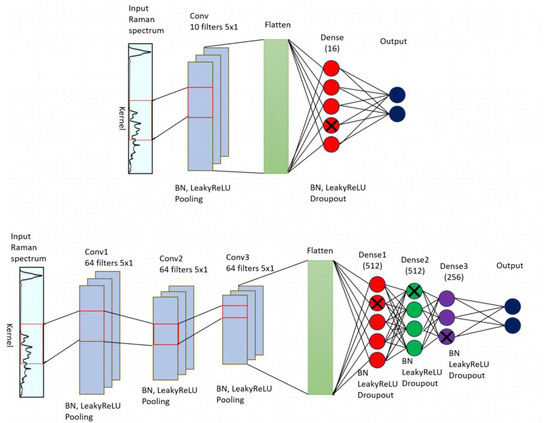 Siamese Networks for Clinically Relevant Bacteria Classification Based ...