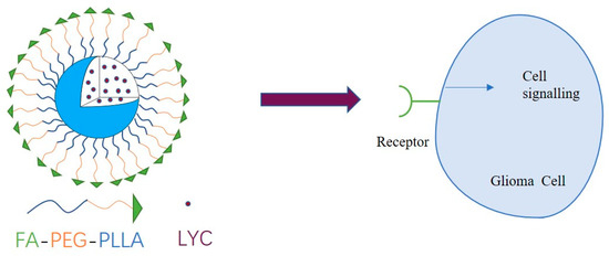 Preparation and Evaluation of Folate Modified PEG-PLLA Nanoparticles ...