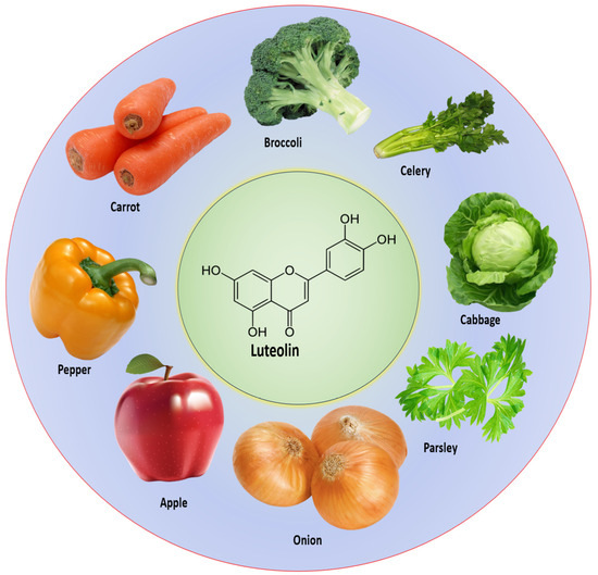 Molecules | Free Full-Text | Effects and Mechanisms of Luteolin, a ...