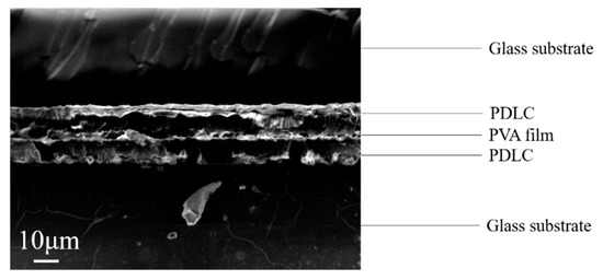 Molecules | Free Full-Text | Preparation and Characterization of ...