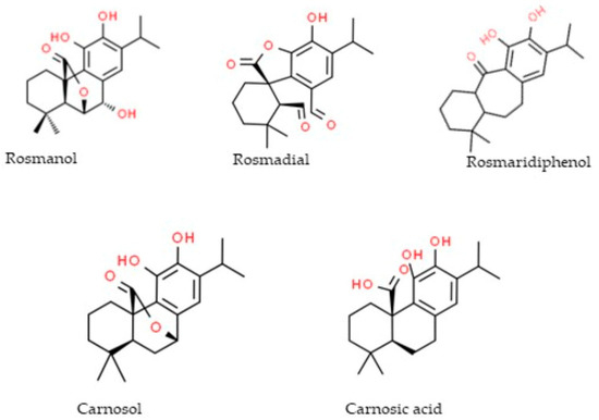 Enrichment of Olive Oils with Natural Bioactive Compounds from Aromatic ...