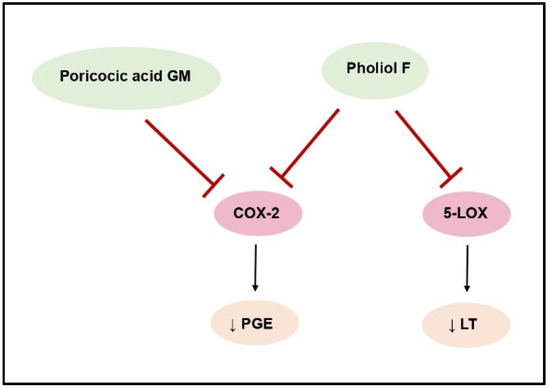 Therapeutic Potential of Fungal Terpenes and Terpenoids: Application in ...