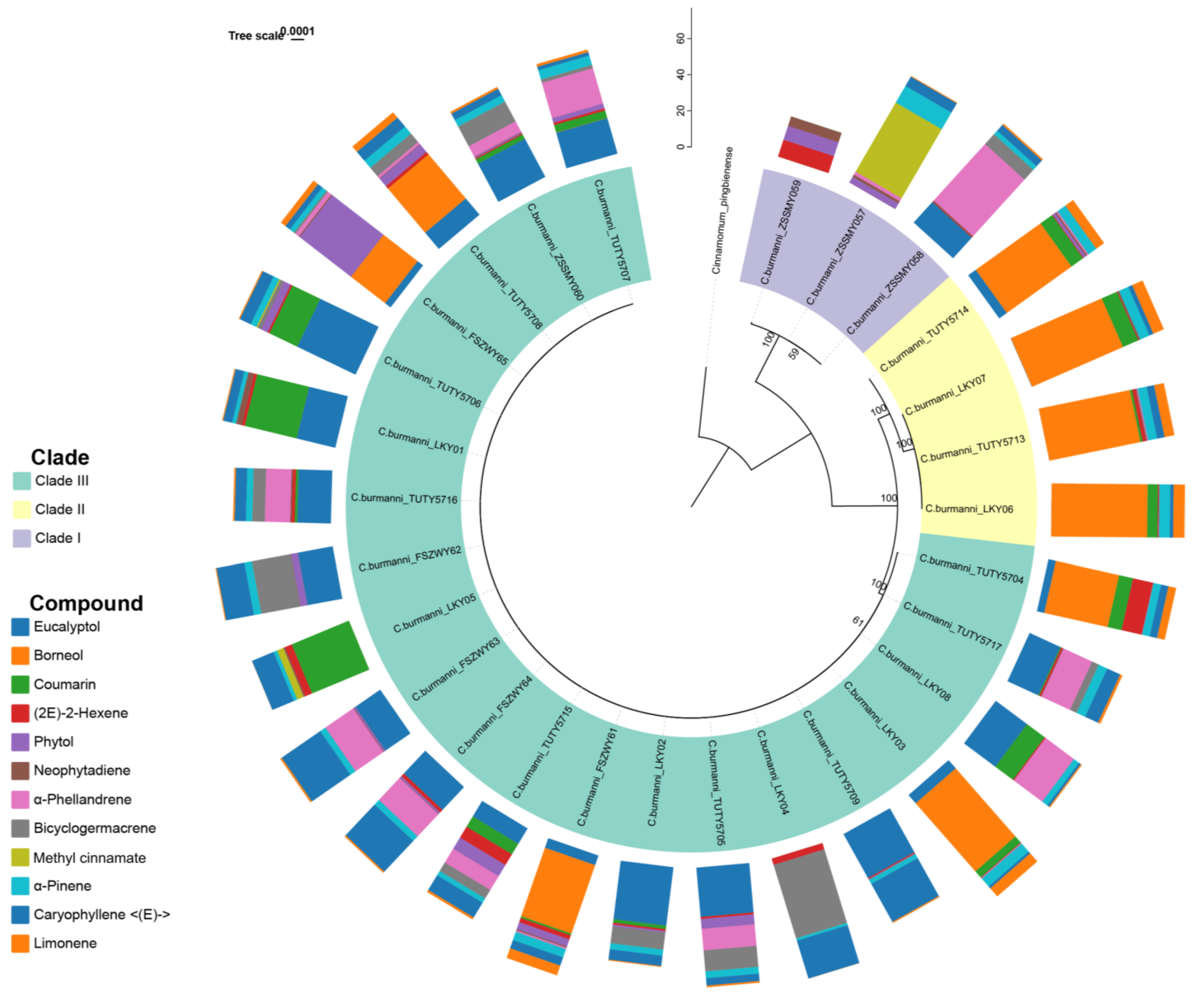 Unpredictable Chemical Diversity of Essential Oils in Cinnamomum burmanni (Lauraceae) Living ...