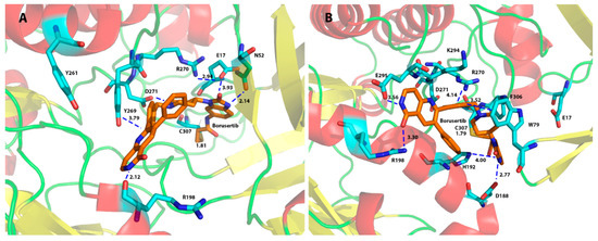 Selectivity Studies and Free Energy Calculations of AKT Inhibitors