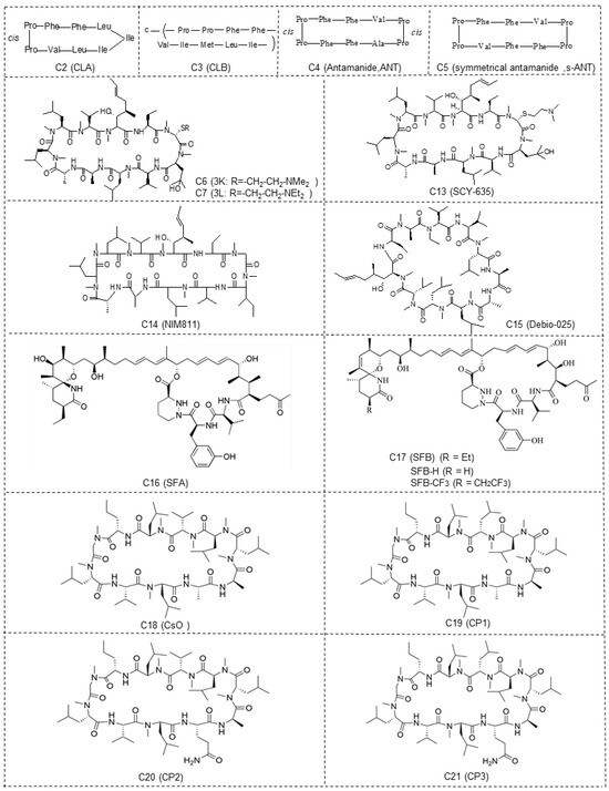 Molecules | Free Full-Text | Inhibitors of Cyclophilin A: Current and ...