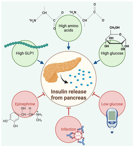 Unraveling Light-Activated Insulin Action in Regulating Blood Glucose ...