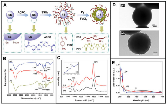Advances and Prospects in the Study of Spherical Polyelectrolyte ...
