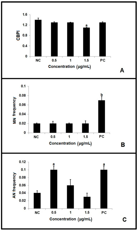 Anticancer Potential and Safety Profile of β-Lapachone In Vitro