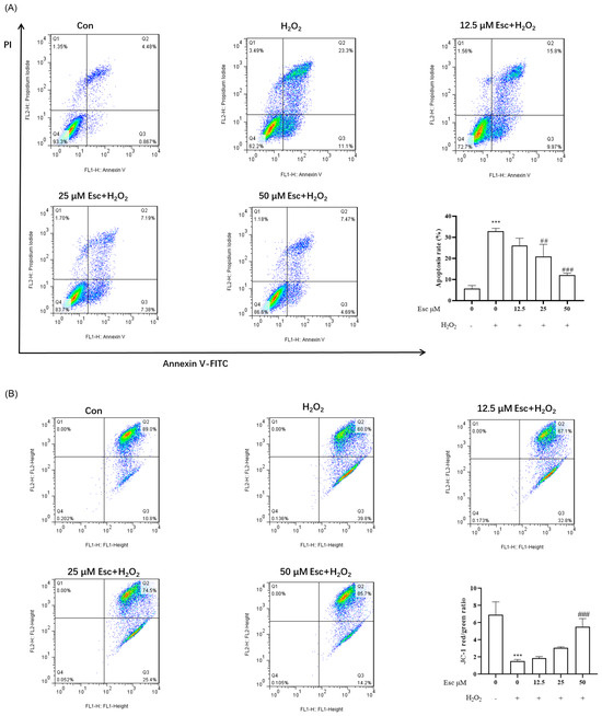 Protective Effects and Mechanisms of Esculetin against H2O2-Induced ...