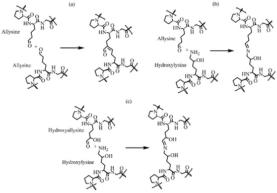 Glycosylation Modulates the Structure and Functions of Collagen: A Review