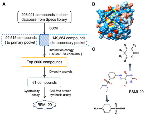 Identification and Biological Evaluation of a Novel Small-Molecule ...