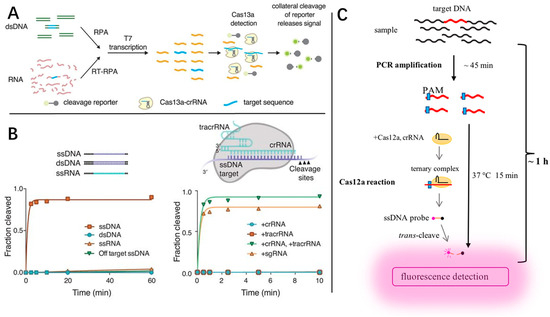 Rapid Nucleic Acid Diagnostic Technology for Pandemic Diseases