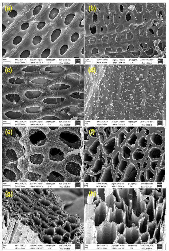 Improvement in Electrochemical Performance of Waste Sugarcane Bagasse ...