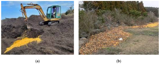 Assessing the Feasibility of Biorefineries for a Sustainable Citrus ...