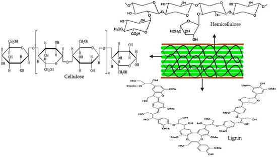 Renewable Energy Potential: Second-Generation Biomass as Feedstock for ...
