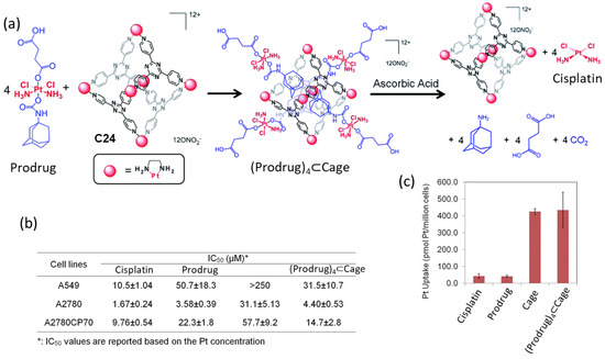 Water-Soluble Molecular Cages for Biological Applications
