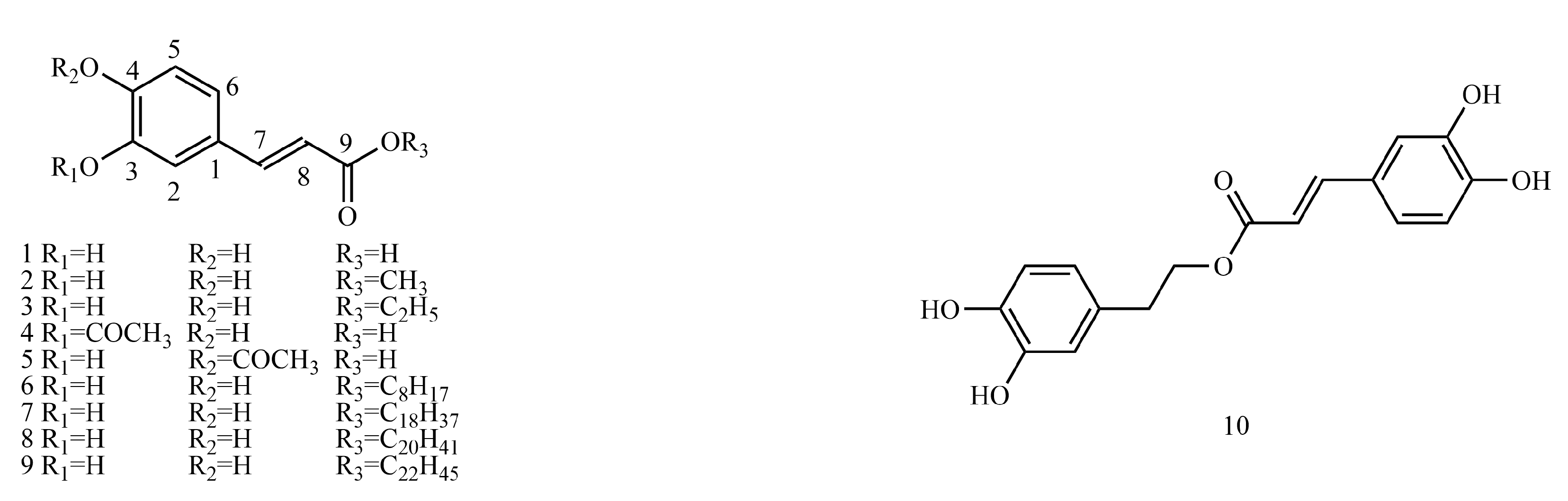 Plant-Derived Caffeic Acid and Its Derivatives: An Overview of Their ...